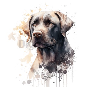 Brown Labrador Clip Art Watercolour - 12 High Quality PNG - Brown ...