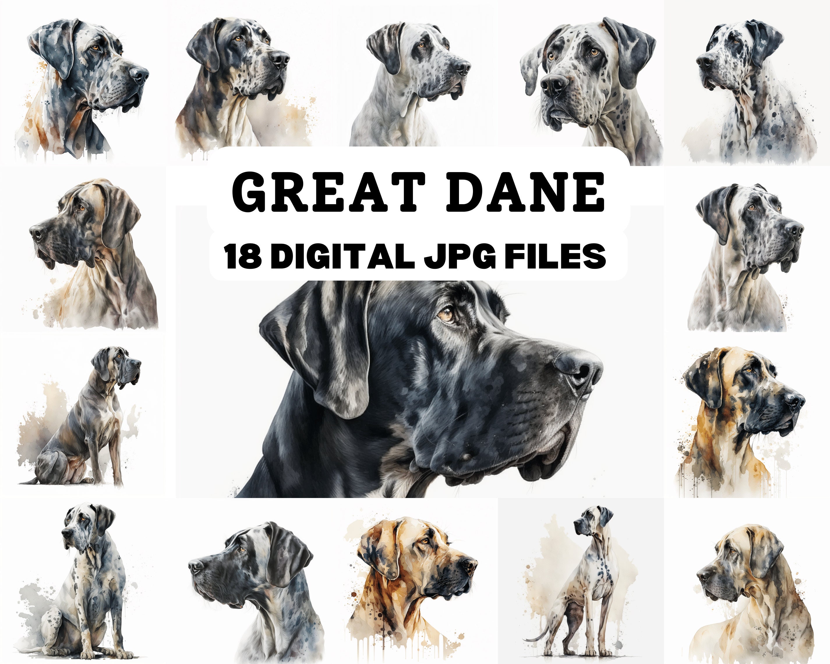 Great Dane Color Chart