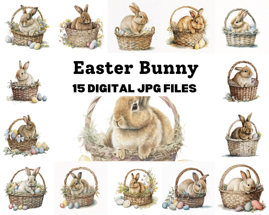 Easter Bunny Basket Clipart, 15 Jpgs, Easter Bunny Illustration Clipart ...