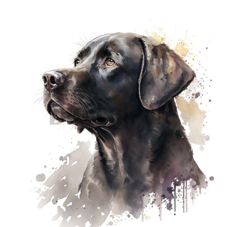 Black Labrador Clip Art Watercolour 12 High Quality PNG - Etsy