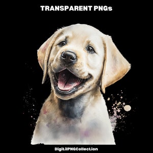 Golden Labrador Clip Art Watercolour - 13 High Quality PNG - Golden ...