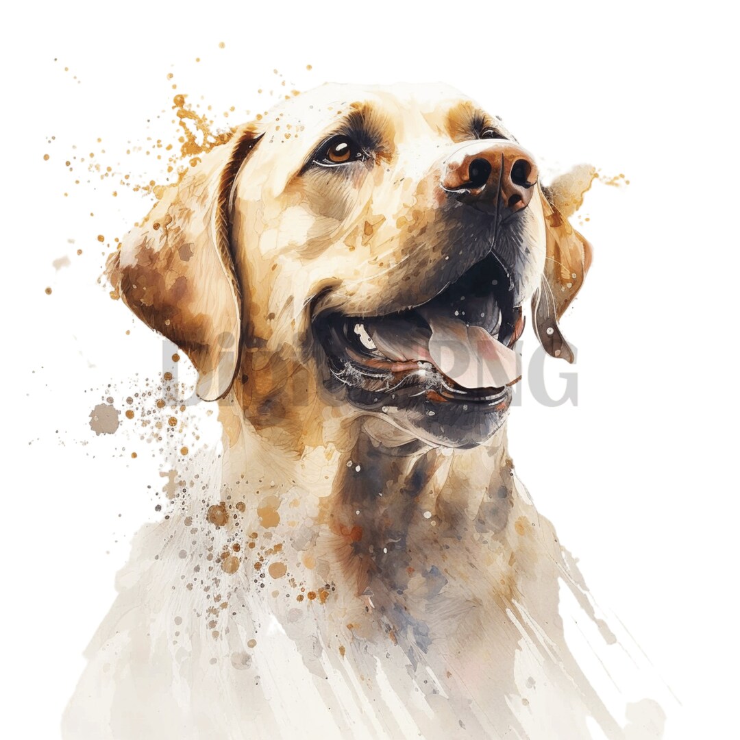 Golden Labrador Clip Art Watercolour - 18 High Quality PNG - Golden ...