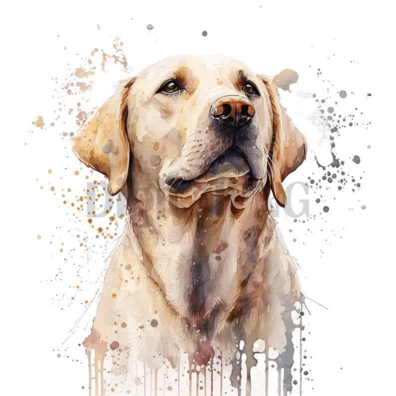 Golden Labrador Clip Art Watercolour 18 High Quality PNG - Etsy