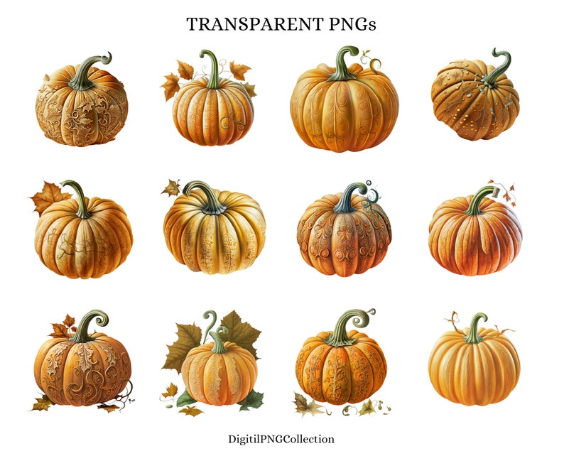 Pumpkin Clipart 30 Transparent Pngs Sublimation Bundle - Etsy