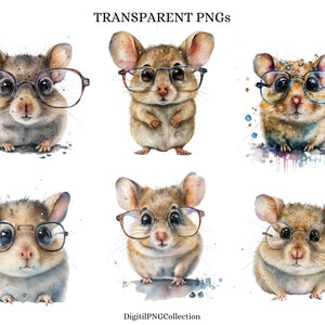 Funny Mouse Clipart - 22 Transparent Pngs, Sublimation Bundle, Digital ...