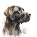 Brown Labrador Clip Art Watercolour 12 High Quality PNG - Etsy