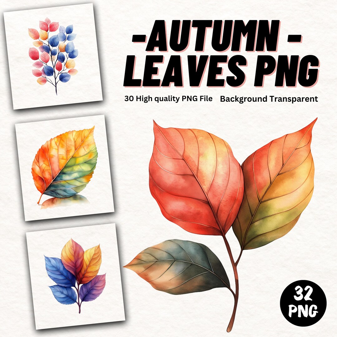 30 Autumn Leaves Clipart Set Watercolor Fall Leaf Clipart Fall Leaves ...