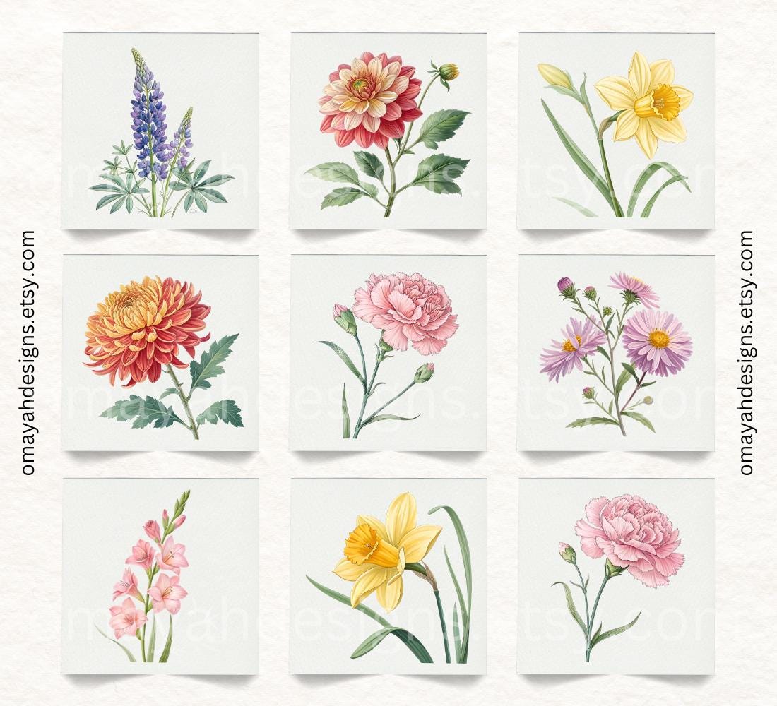 28 Watercolor Birth Flowers Clipart | Birth Flower Illustrations ...