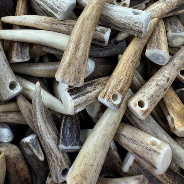 Antler Tip - Etsy