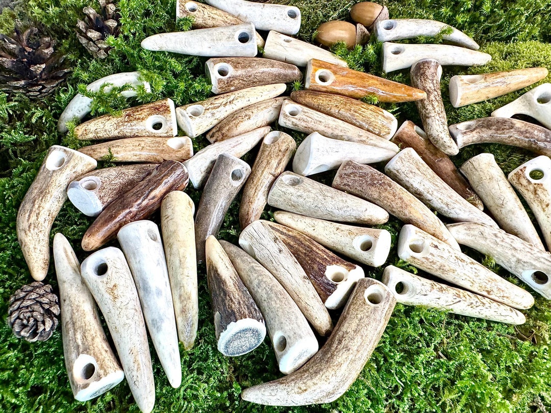 5 Pieces Deer Antler Tips With Hole for Crafting, Craft Antler Tips ...