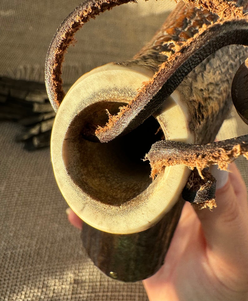 Handcarved Moose Antler Deer Viking Small Salt Case, Handmade Vikings ...