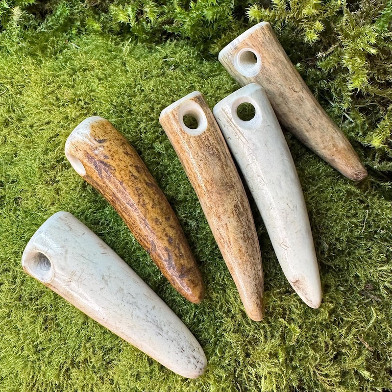 Antler Tip - Etsy