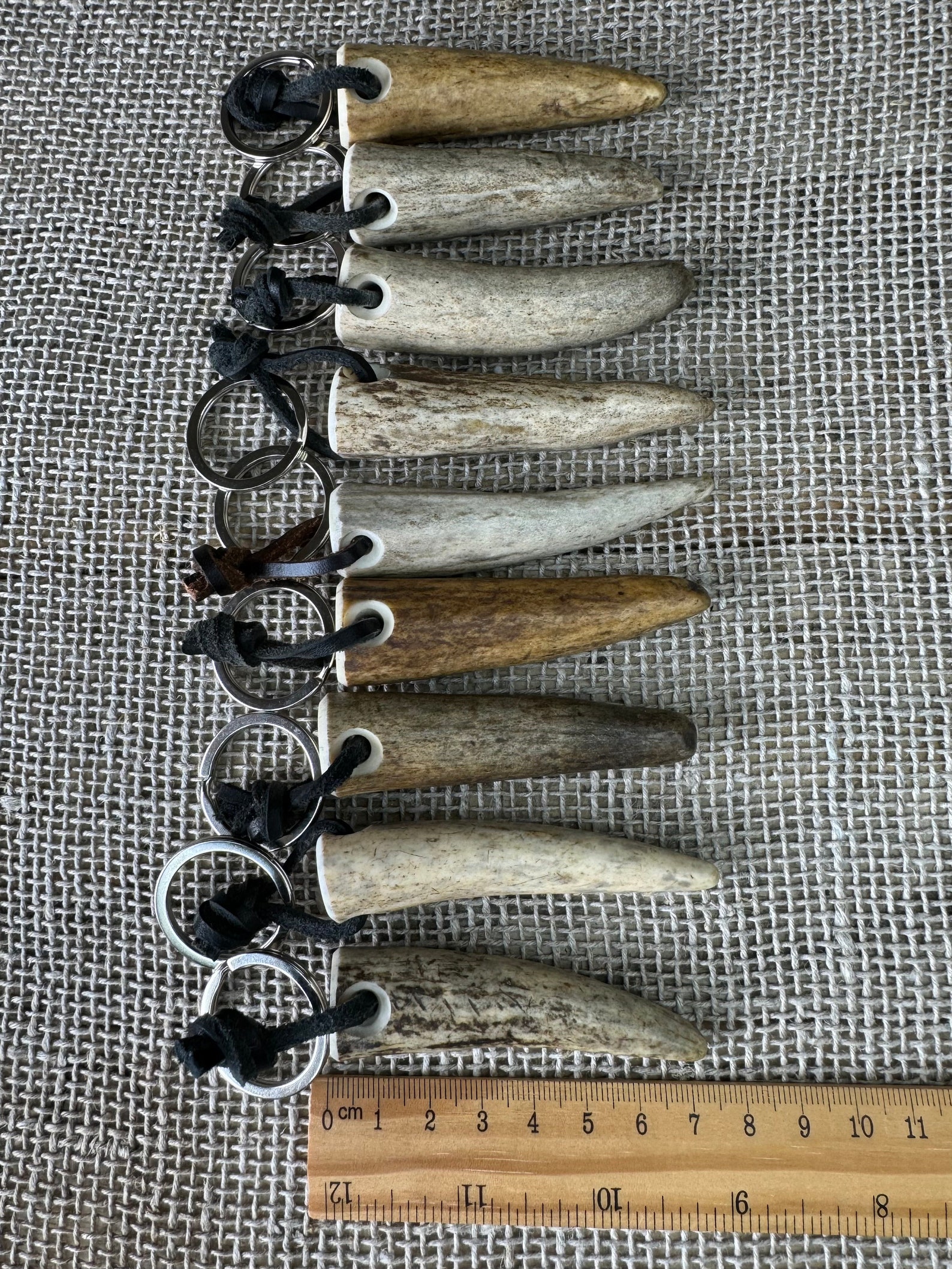 Real Moose Antler Tip Keychain, Rustic Woodland Accessory - Etsy