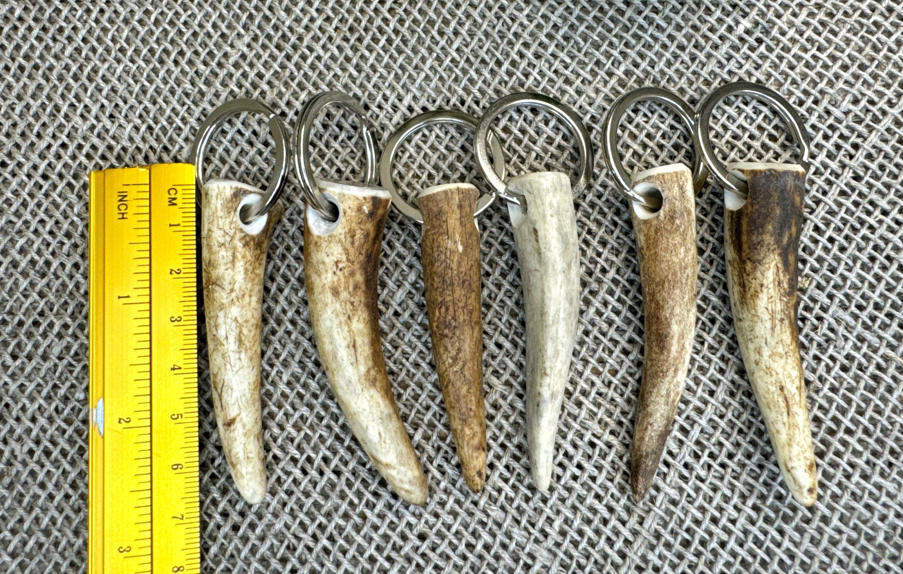 Family Uniting Gift Set of 6 Real Antler Deer Tip Keychains, Memoriable ...