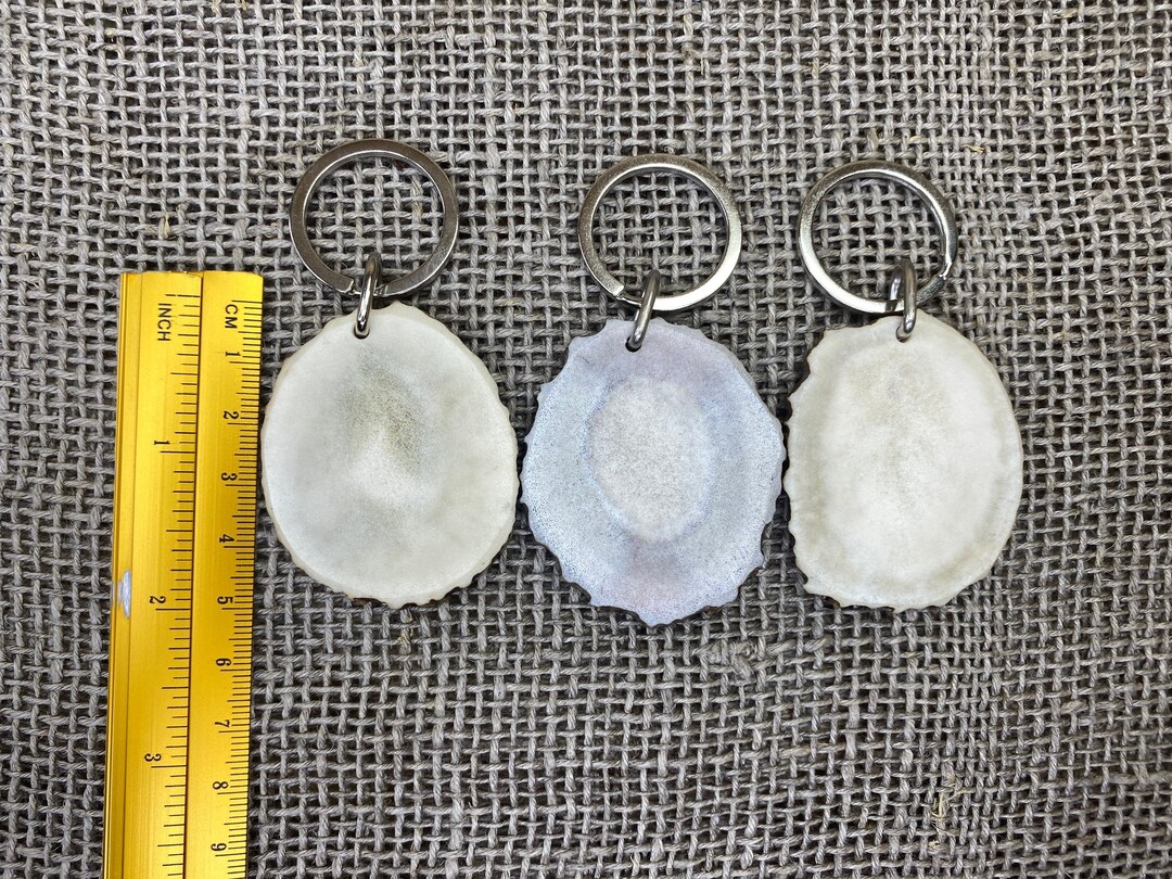 3 Blank Pieces Sliced Polished Moose Antler Keychains Pendants - Etsy