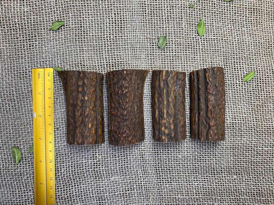 4 Pieces Deer Antler for Crafting, Antler Parts for Crafting, Antler ...