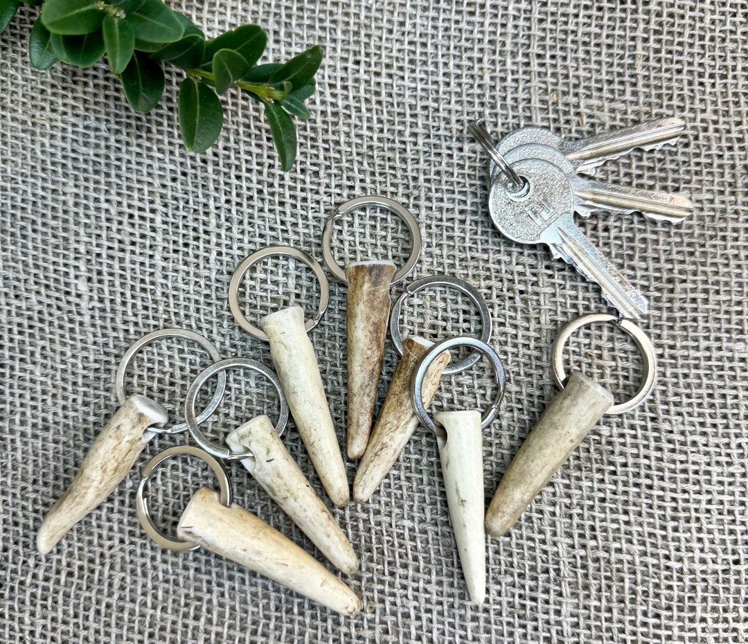 Set of 8 Real Sustainable Deet Antler Keychains, Memoriable Family Gift ...