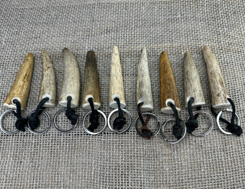 Real Moose Antler Tip Keychain, Rustic Woodland Accessory - Etsy