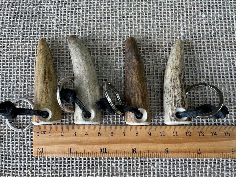 Real Moose Antler Tip Keychain, Rustic Woodland Accessory - Etsy