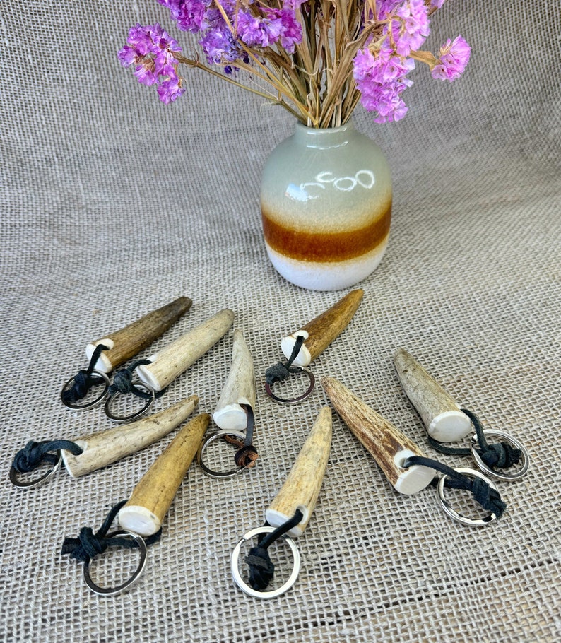 Real Moose Antler Tip Keychain, Rustic Woodland Accessory - Etsy