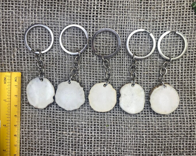 5 Small Size Blank Pieces Sliced Polished Moose Antler Keychains ...
