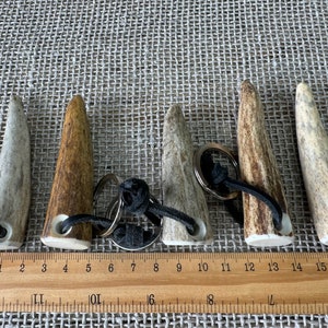 Real Moose Antler Tip Keychain, Rustic Woodland Accessory - Etsy