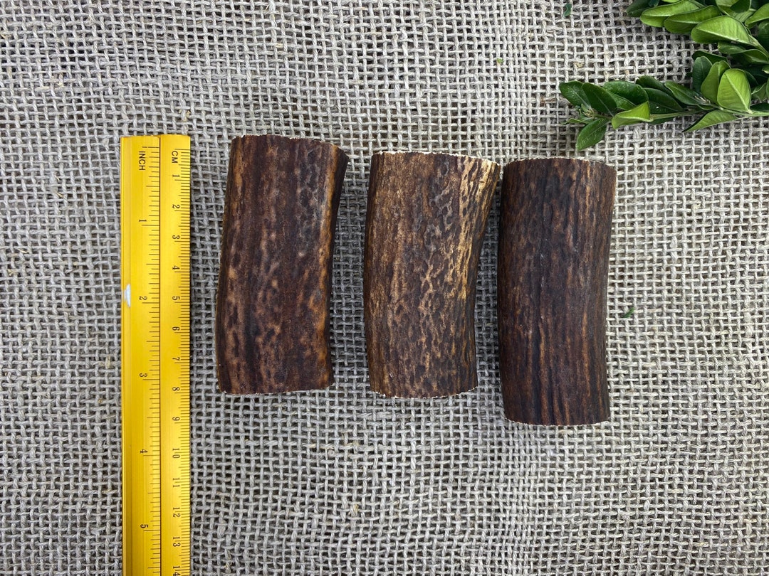 Set of 3 Red Deer Antler Slices for Crafting, Natural Antler Parts ...