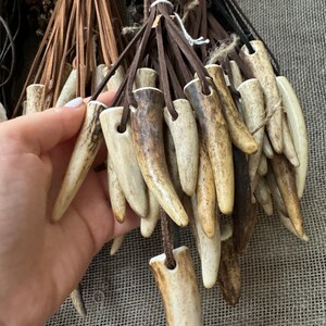 One Deer Antler Pendant With Adjustable Strap, Real Red Deer Antler Tip ...