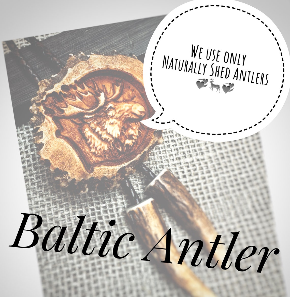 4 rebarbas de chifre de corça naturalmente descartadas, materiais para ...