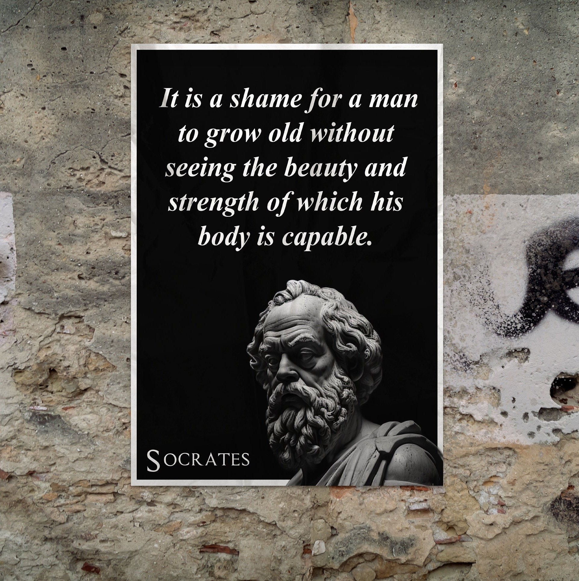Socrates Poster it is a Shame for a Man to Grow Old Without Seeing the ...
