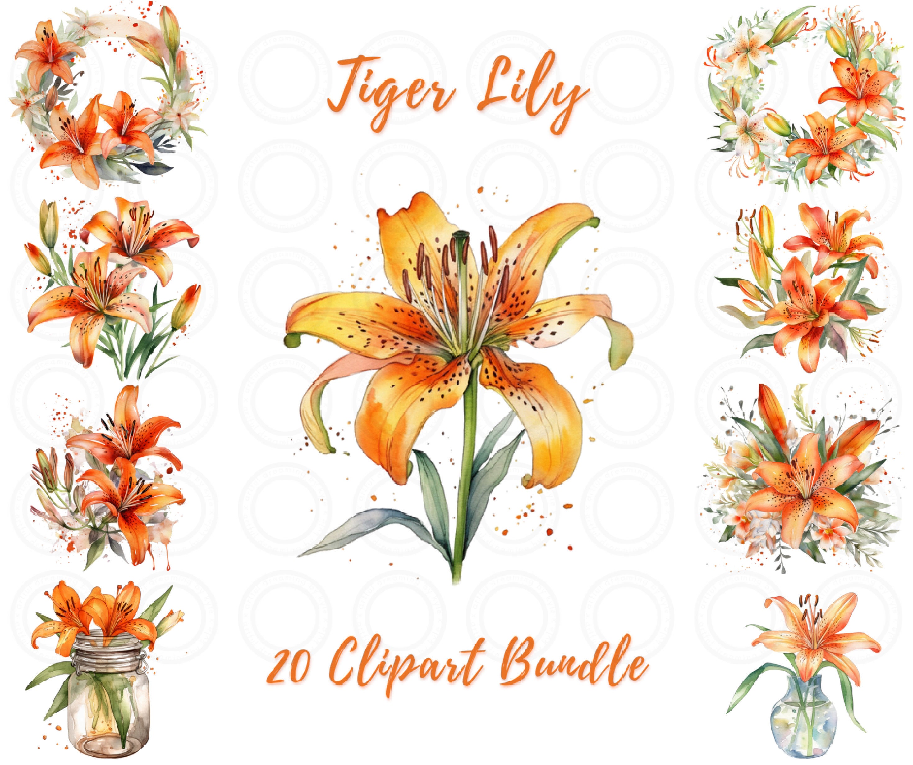 Tiger Lily Design