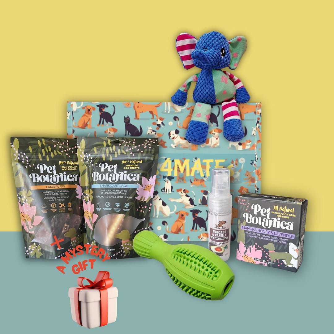 Pawfect Box - Etsy