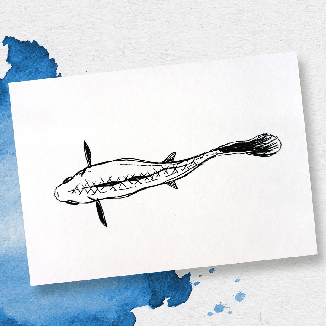 Fishy Postcards – Fish - Etsy