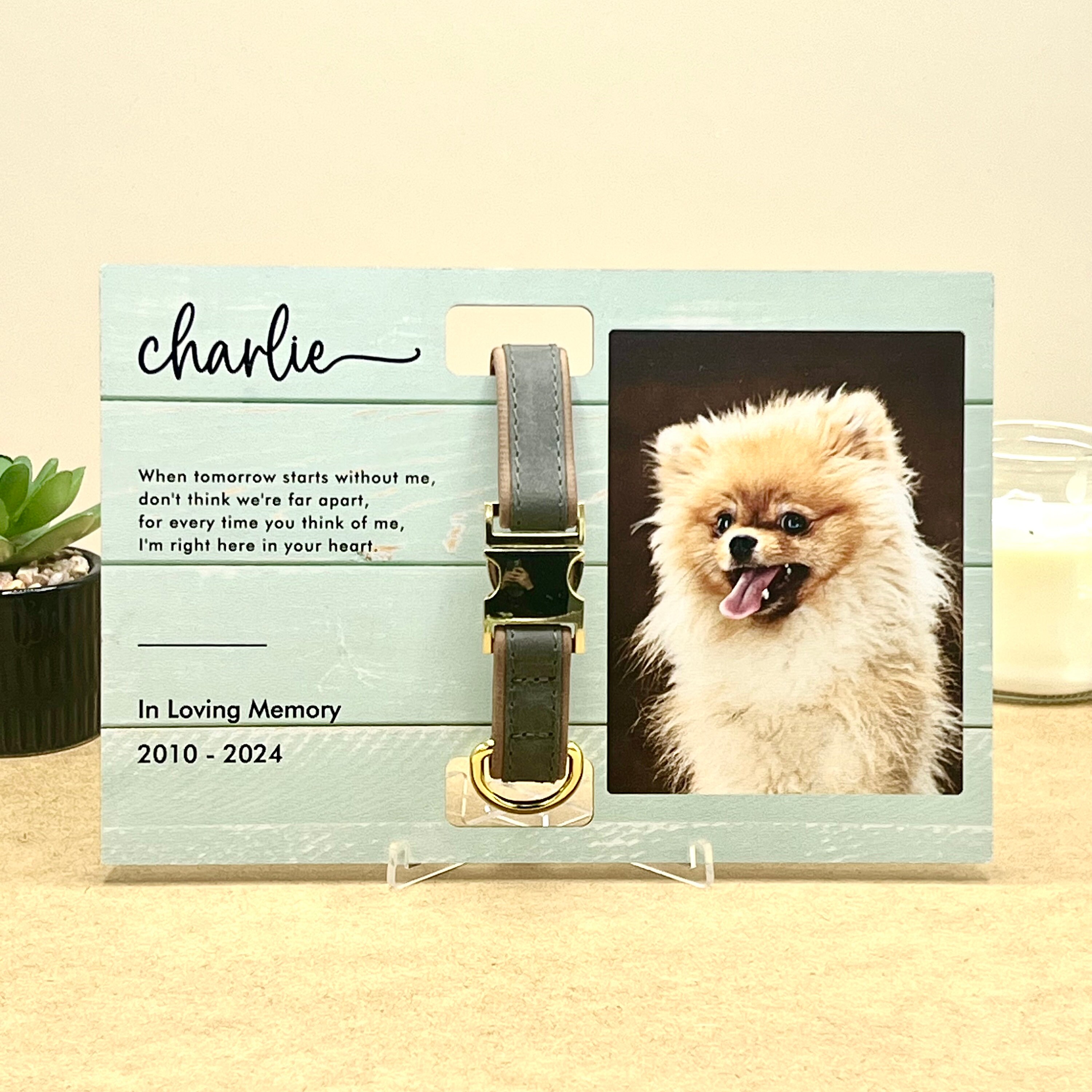 Custom Pet Memorial Dog Collar Holder, Dog Loss Memorial Frame, Rainbow ...