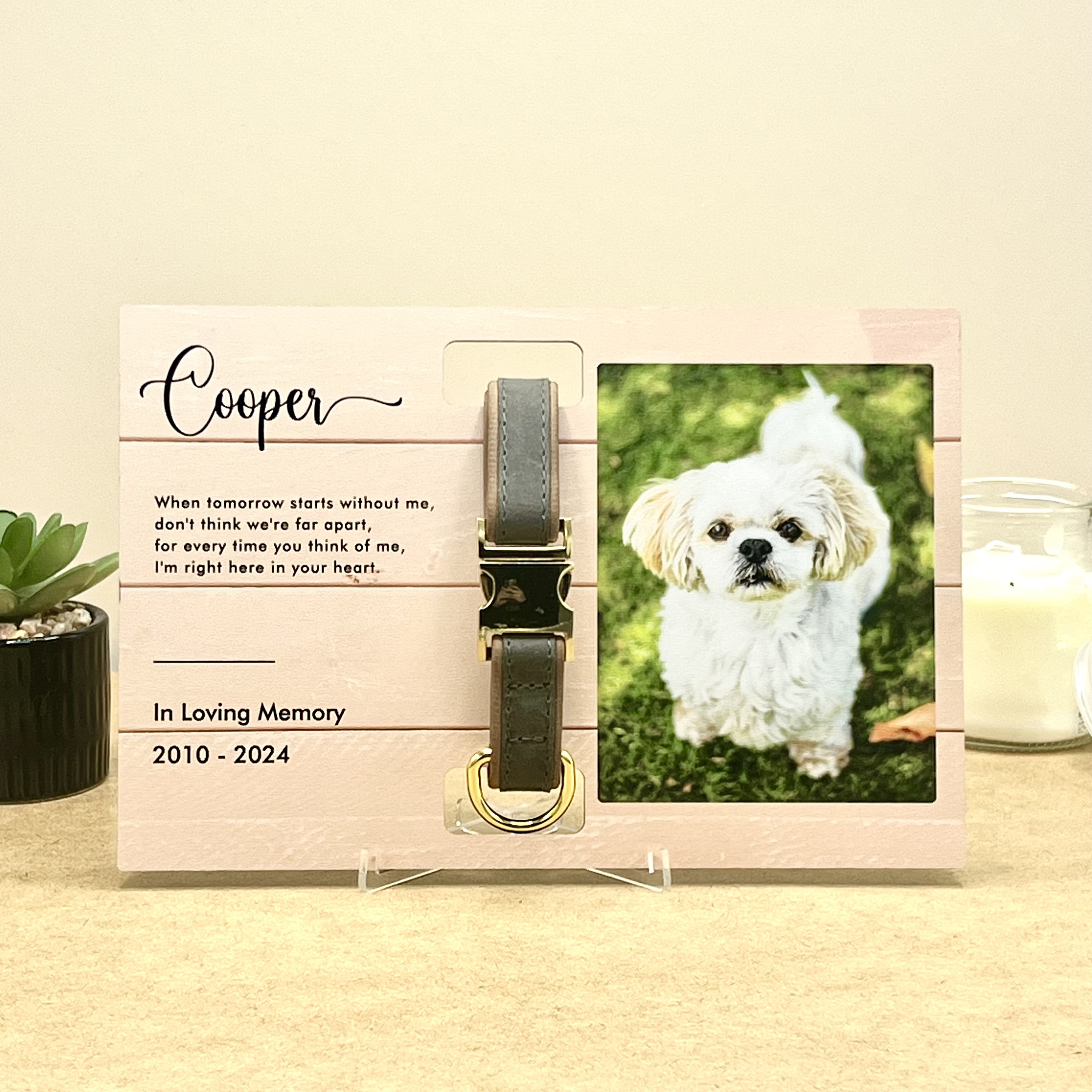 Custom Pet Memorial Dog Collar Holder, Dog Loss Memorial Frame, Rainbow ...