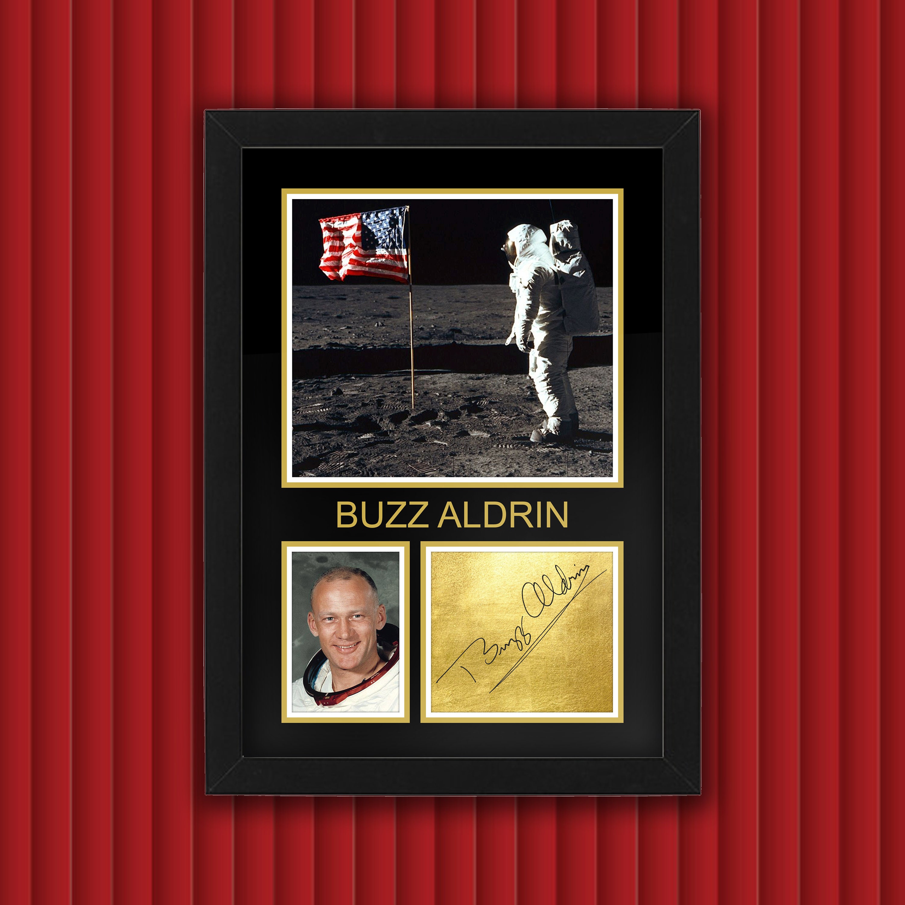 BUZZ ALDRIN / APOLLO 11 Display Case W Reproduced Autograph - Etsy