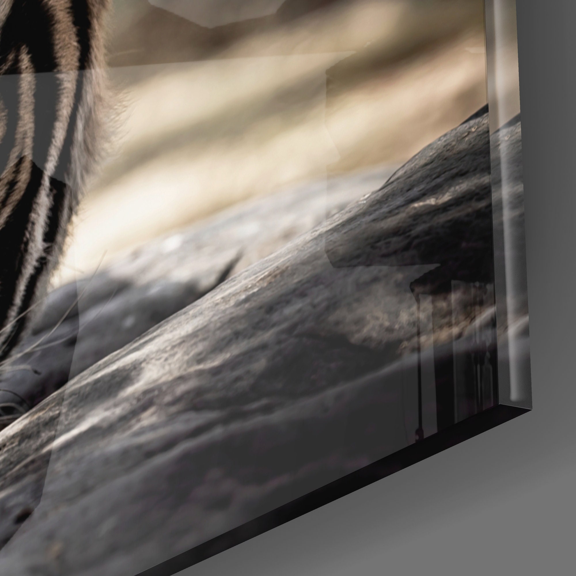 Tiger Glass Wall Art - Etsy