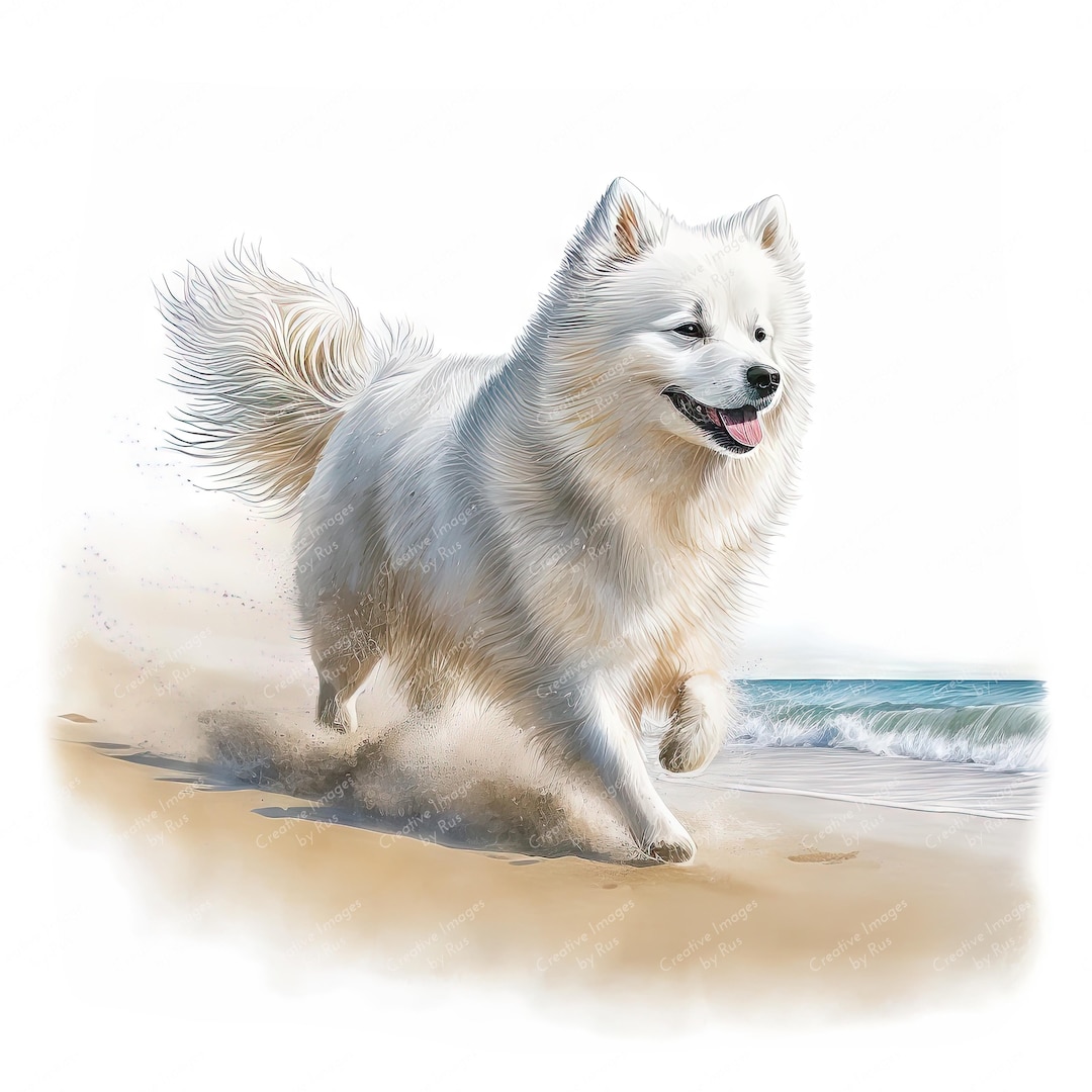 Japanese Spitz Beach Clipart, Watercolour Dog Image, Instant Digital ...