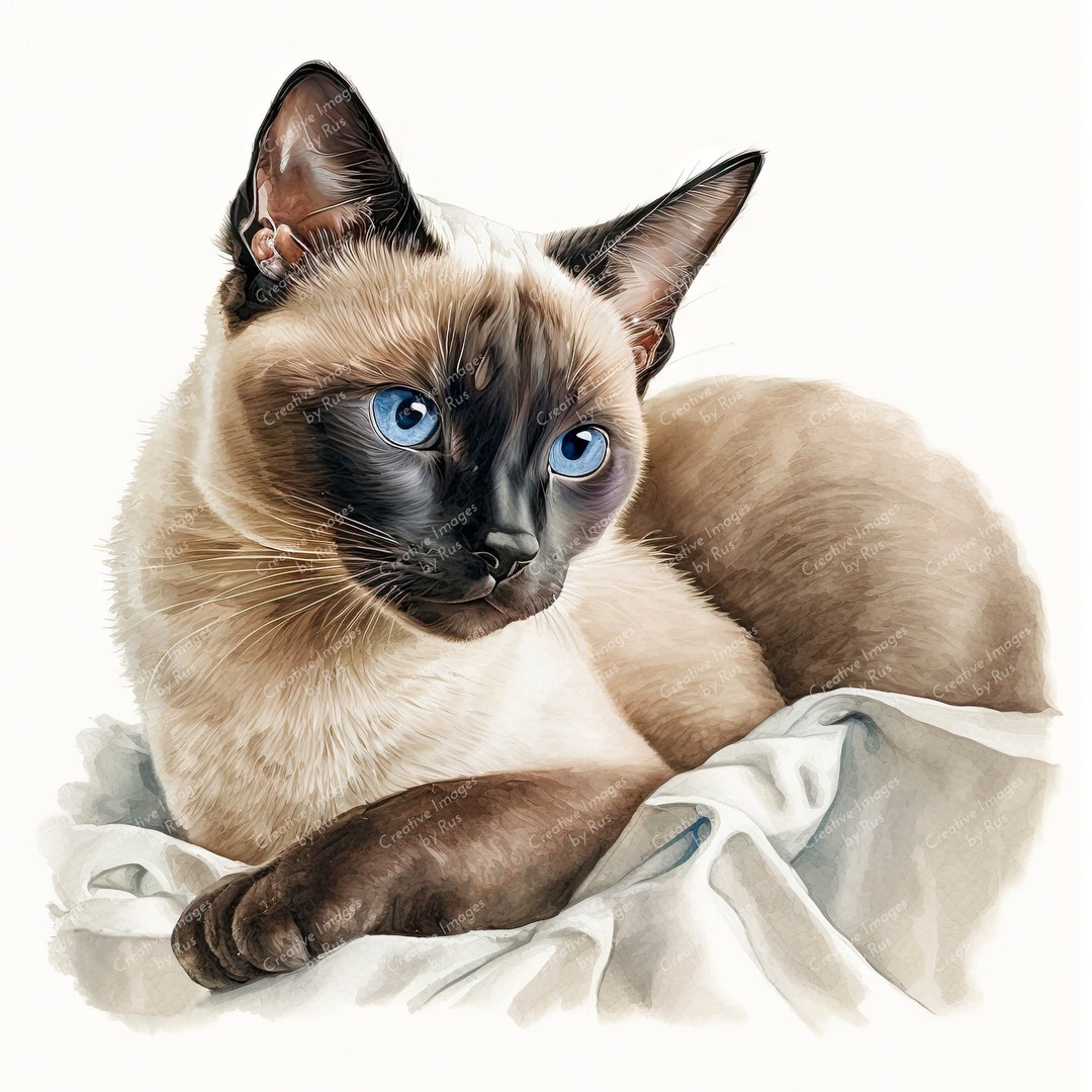Siamese Cat Clipart, Lovely Watercolour Image, Instant Digital Download ...