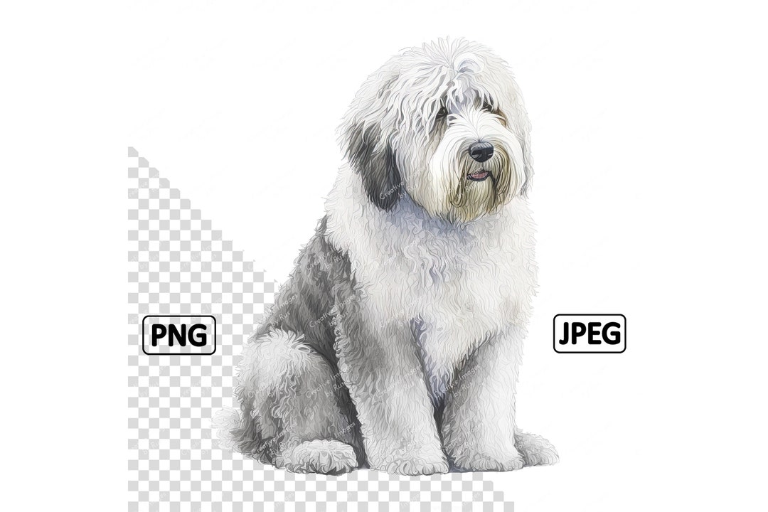 Old English Sheepdog Clipart, Watercolour Image, Instant Digital ...