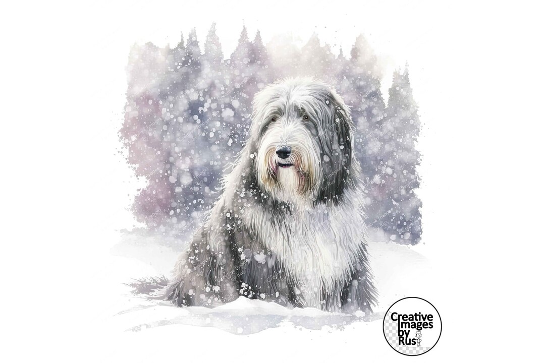 Bearded Collie Dog Clipart, Watercolour Winter Image, Instant Digital ...