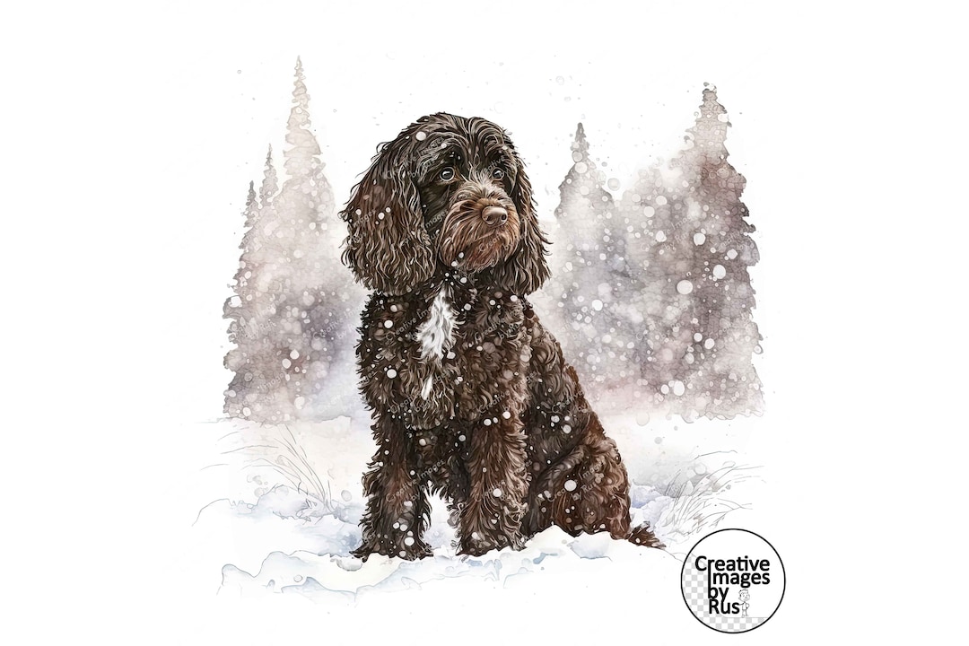 Cockapoo Chocolate Brown Dog Clipart, Watercolour Winter Image, Instant ...