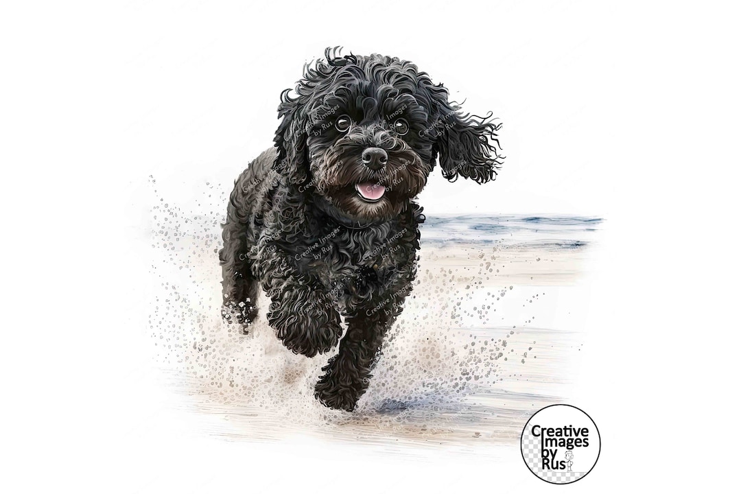 Cavapoo Black Dog Beach Clipart, Watercolour Image, Instant Digital ...