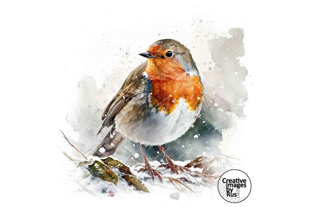 Robin Clipart, Watercolour Winter Image, Instant Digital Download, High ...