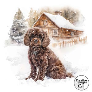 Cavapoo Chocolate Dog Clipart, Watercolour Winter Image, Instant ...