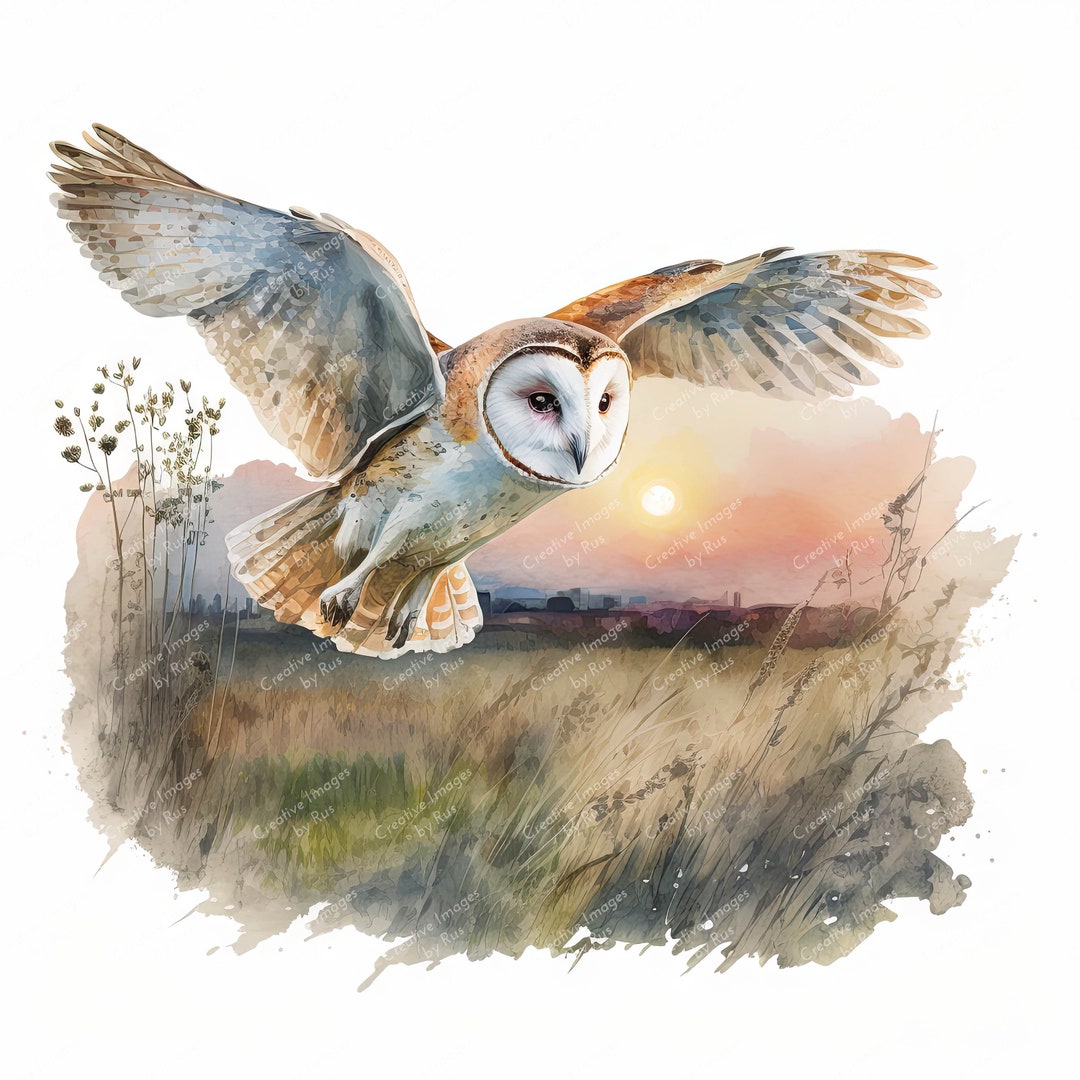 Owl Sunset Flying Clipart, Lovely Watercolour Image, Instant Digital ...
