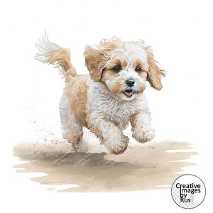 Cavachon Dog Clipart, Watercolour Beach Image, Instant Digital Download ...