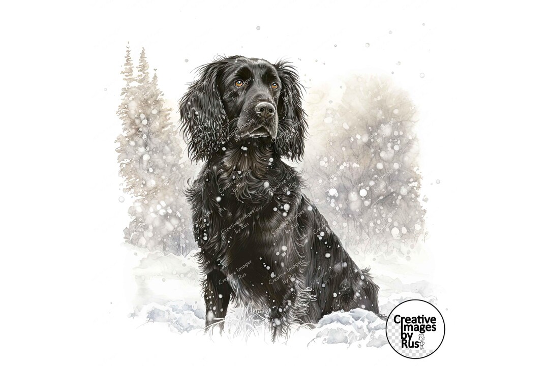 Working Cocker, Sprocker, English Springer Spaniel Dog Clipart, Winter ...