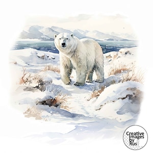 Polar Bear Clipart, Watercolour Image, Instant Digital Download, High ...