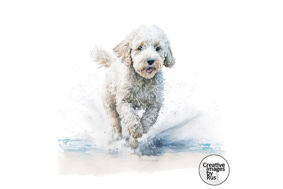 Cockapoo White Dog Clipart, Lovely Watercolour Image, Instant Digital ...